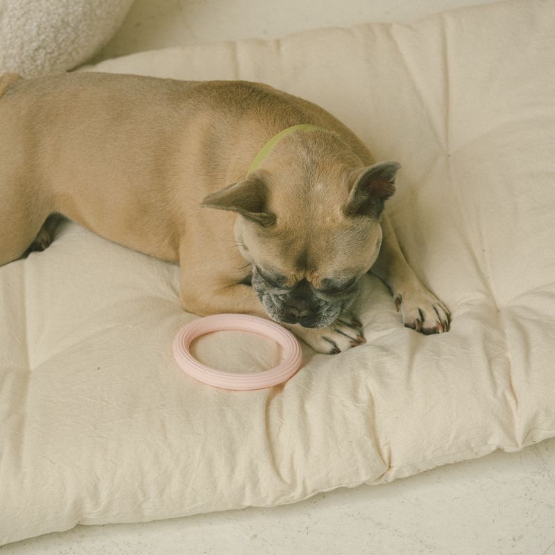 Peachy Dogs - Loop Toy - dogthings.co